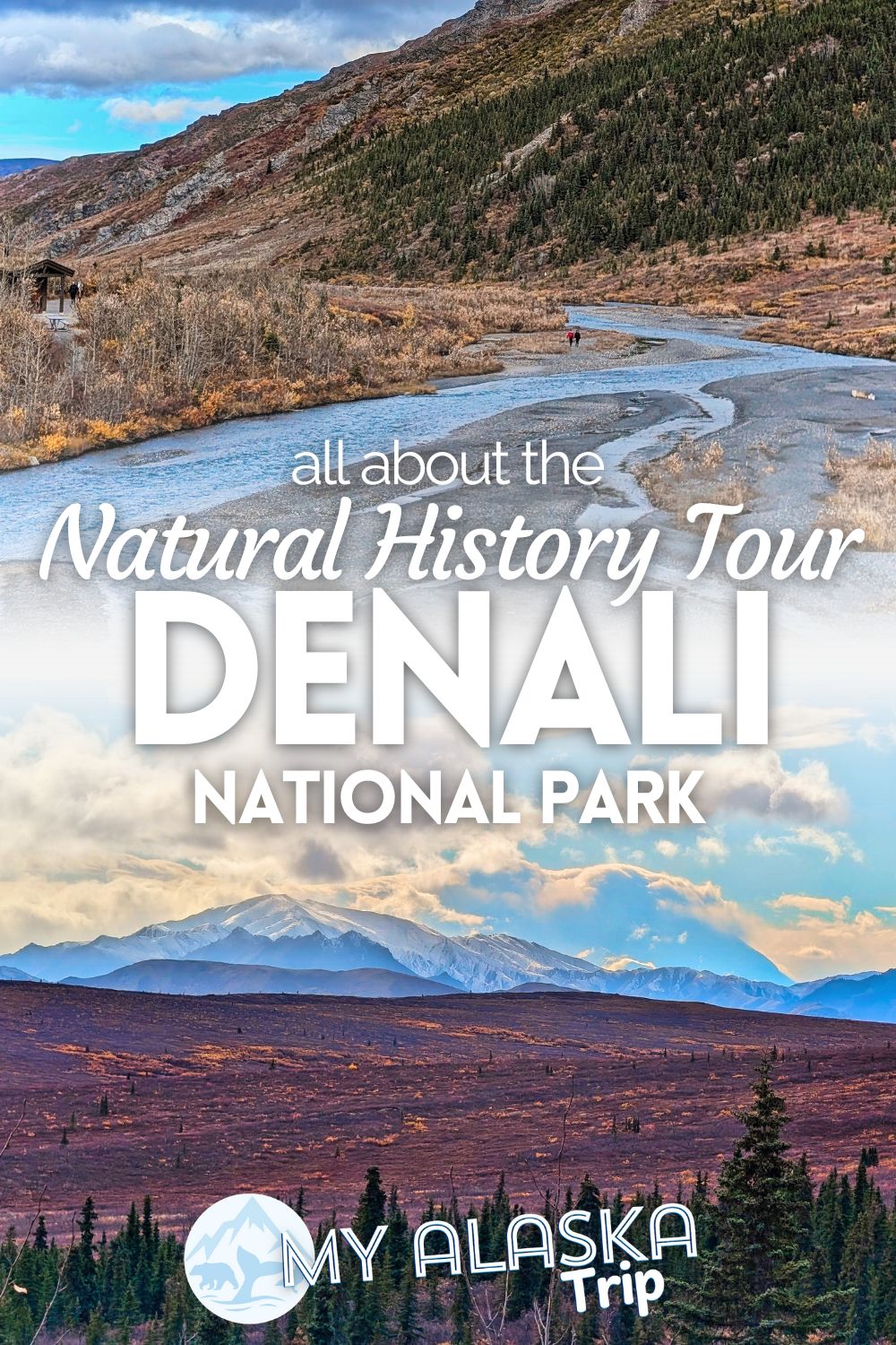 Denali Natural History Tour into the Beautiful National Park