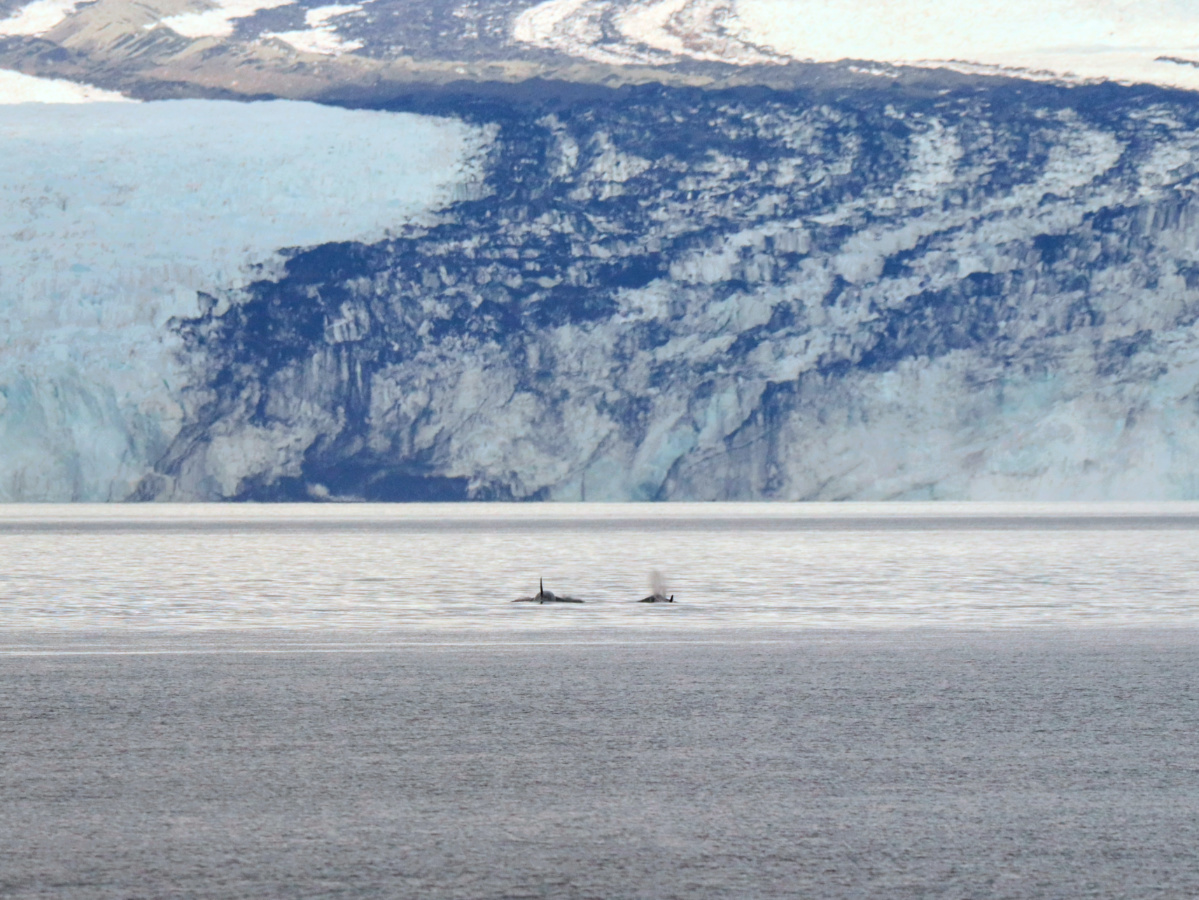 Visiting Whittier, Alaska: Gateway to Beautiful Prince William Sound