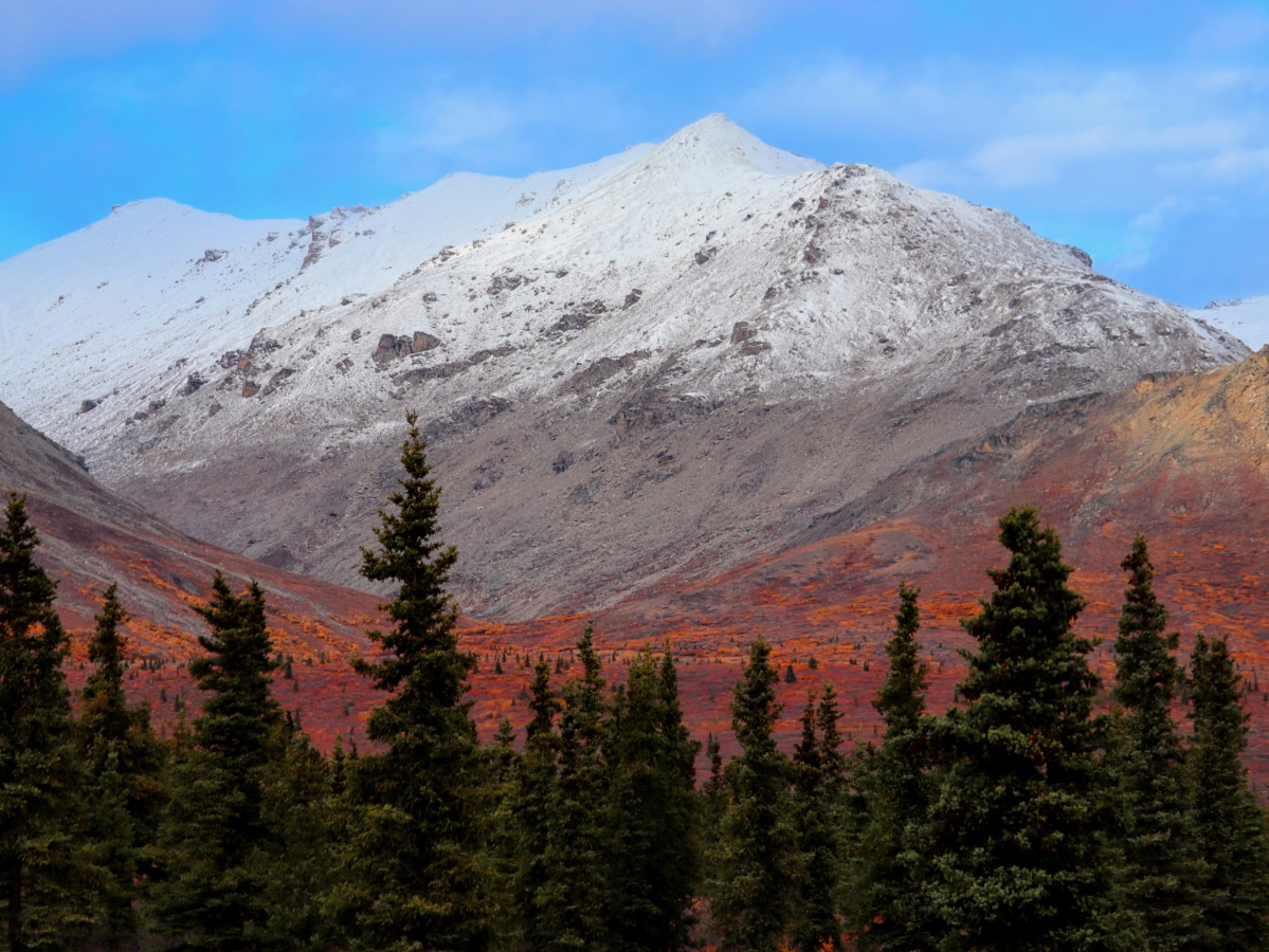 Denali National Park - Guide to Visiting and Exploring the Tundra - My ...