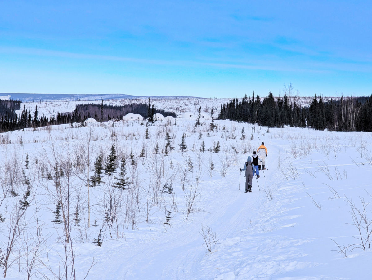 12 Awesome Things to do in Alaska in the Winter - for visitors - My ...
