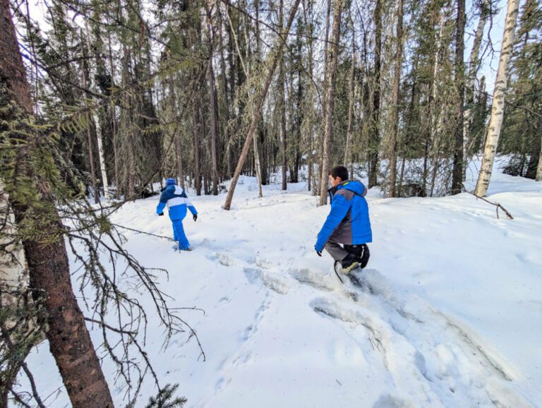 12 Awesome Things to do in Alaska in the Winter - for visitors - My ...