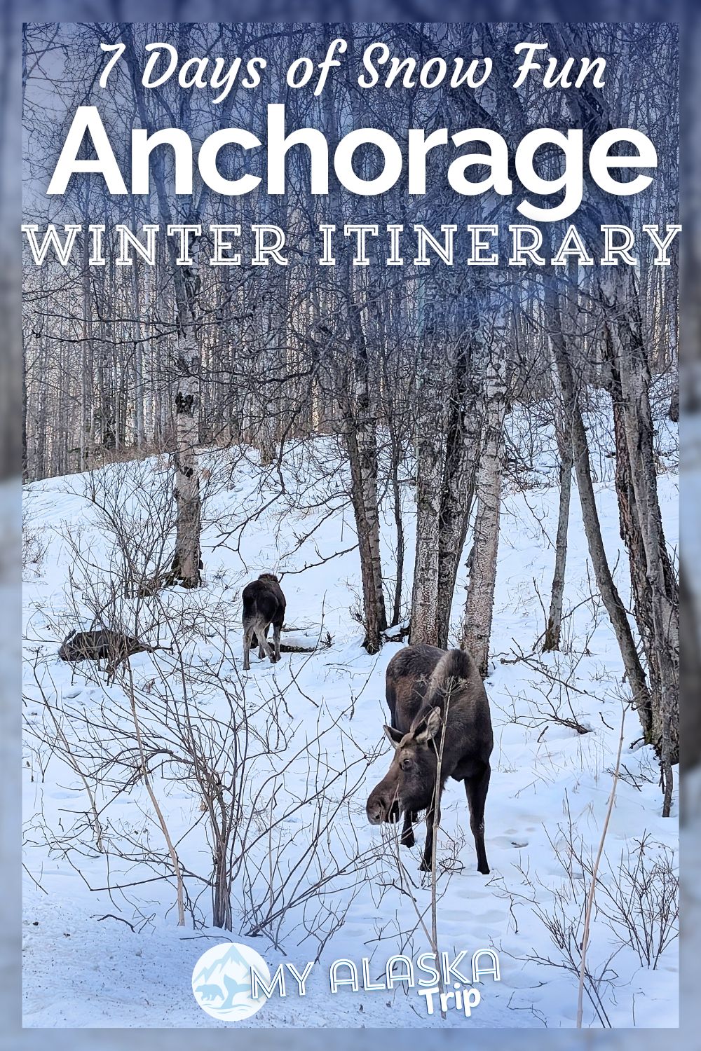 Anchorage Winter Itinerary - Great Things to Do and See in the Snow ...